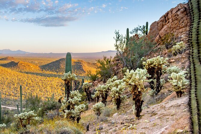 Self Guided Driving Audio Tour of Saguaro National Park - A Detailed Breakdown of the Itinerary