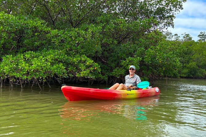 Self Guided EcoTour: Clear/Standard Kayaks -Bonita Springs - What to Expect on Your Kayaking Adventure