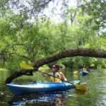 Self Guided Family Friendly Kayak Rental Experience Old Florida - A Clear Picture of the Experience
