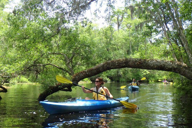 Self Guided Family Friendly Kayak Rental Experience Old Florida - A Clear Picture of the Experience