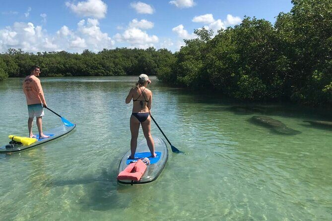Self-Guided Island Tour: CLEAR/Standard Kayak, SUP-Bonita Springs - Itinerary and Highlights
