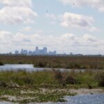 Self Guided Kayak Bayou Swamp Tour - What Travelers Say