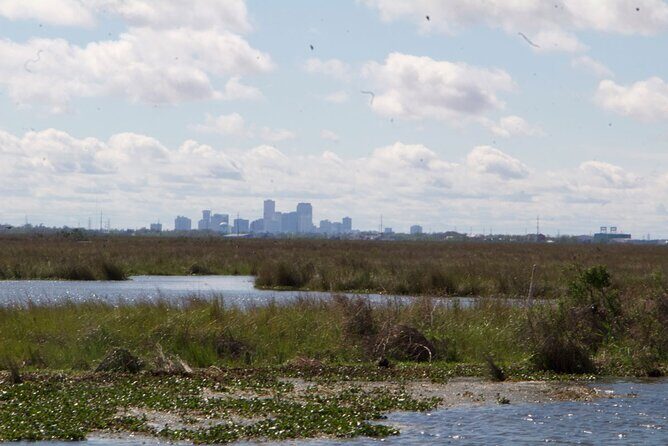 Self Guided Kayak Bayou Swamp Tour - What Travelers Say