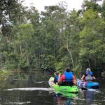 Self-Guided Kayaking: Real Florida Adventure - Key Points