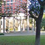 Self-Guided Scavenger Hunt: Houston's Museum District - What to Expect from Your Houston Museum District Scavenger Hunt