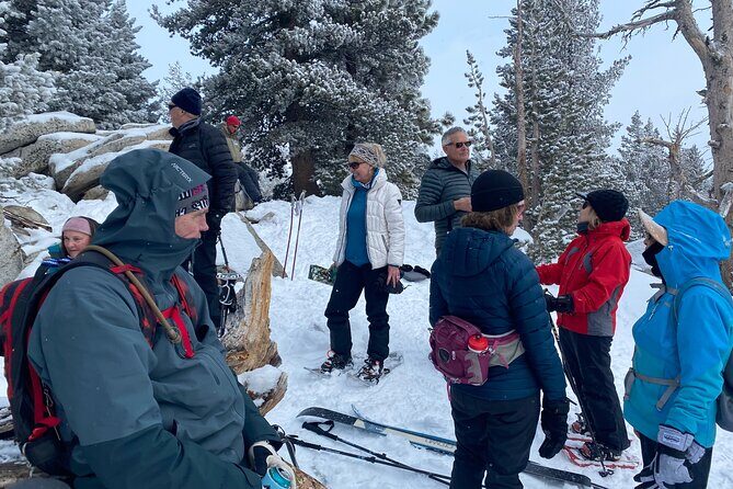 Self Guided Snowshoe Experience at Lake Tahoe - A Closer Look at the Self-Guided Snowshoe Experience