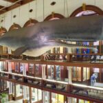 Semi Private Honolulu Historical Tour - The Practicalities: What the Tour Means for You