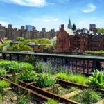 Semi-Private Meatpacking District, Chelsea Market, and High Line Walking Tour - Why This Tour Works for Travelers