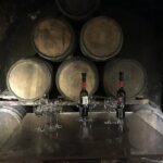 Semi-Private Rioja Tour of 3 Premium Wineries from Bilbao - Key Points