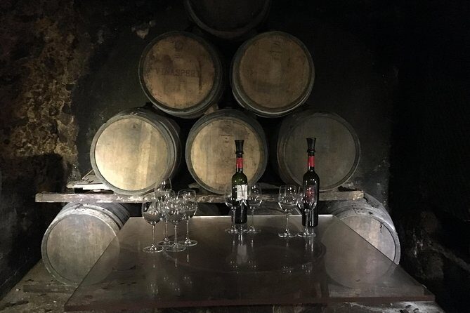 Semi-Private Rioja Tour of 3 Premium Wineries from Bilbao - Key Points