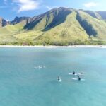 Semi Private Surf Lessons with Experienced Coaches - Authenticity and Expertise