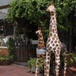 Senoia The Walking Dead Film locations 2 hours Walking Tour - The Experience: What To Expect