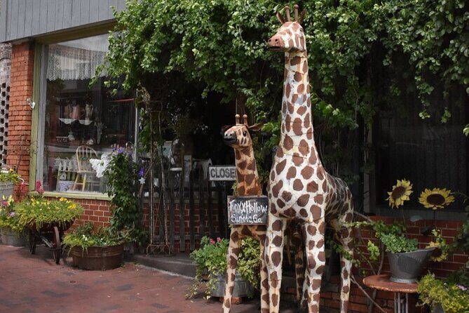 Senoia The Walking Dead Film locations 2 hours Walking Tour - The Experience: What To Expect