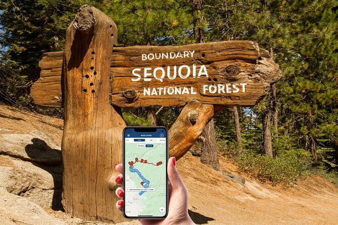 Sequoia & Kings Canyon NP Self-Guided Driving Audio Tour - A Detailed Look at the Tour
