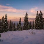 Sequoia National Park Adventure from Tulare - The Sum Up
