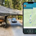 Sequoia National Park Self-Guided Audio Tour - What Visitors Say and Why It Matters