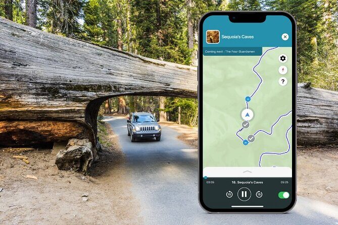 Sequoia National Park Self-Guided Audio Tour - What Visitors Say and Why It Matters