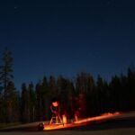 Sequoia National Park: Sherman Tree & Congress Trail Walk - Why This Tour Works Well for Travelers