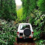 Sete Cidades - Nature Lovers - Private Jeep Tour with Local Guide - The Practicalities