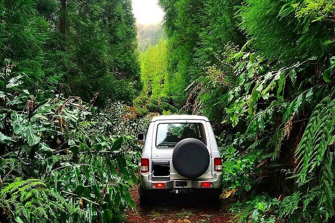 Sete Cidades - Nature Lovers - Private Jeep Tour with Local Guide - The Practicalities