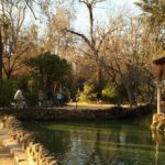 Seville Bike Tour Following the Guadalquivir River - The Value of the Experience