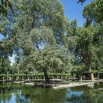 Seville Day Trip with Cathedral Entrance from Malaga - Practical Tips for Your Day Trip