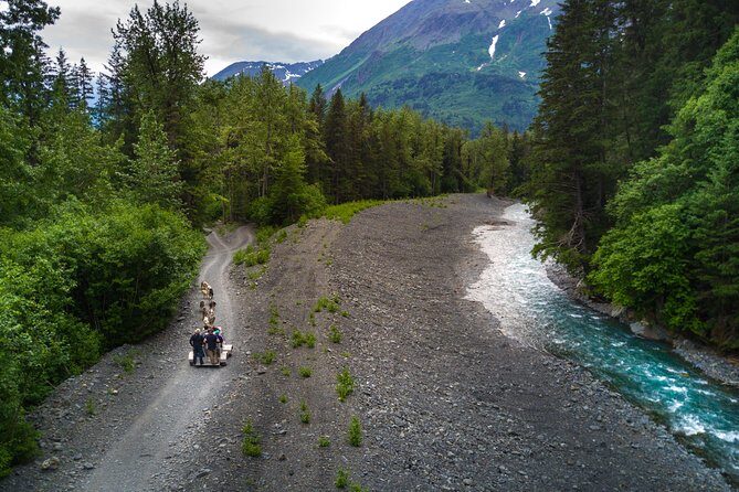 Seward and Kenai Fjords National Park Guided Tour with Lunch - Who Will Get the Most Out of This Tour?