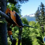 Seward: Stoney Creek Canopy Tour with Zipline - What Makes this Tour Stand Out?