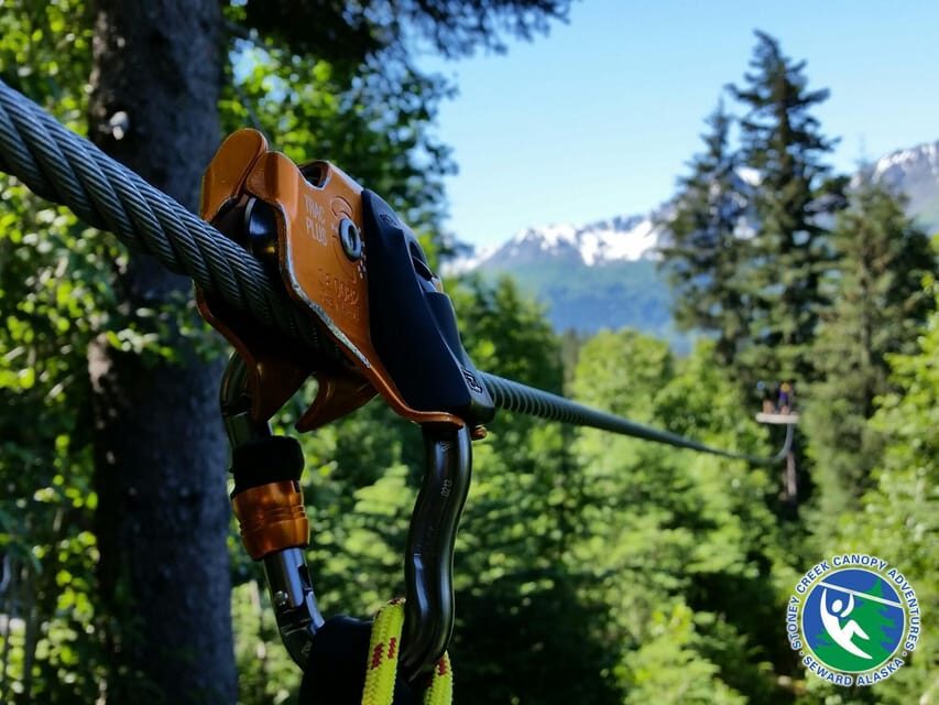 Seward: Stoney Creek Canopy Tour with Zipline - What Makes this Tour Stand Out?