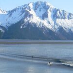 Seward to Anchorage Cruise Transfer and Private Tour - Who Will Love This Tour?