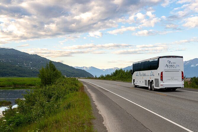 Seward to Anchorage Wildlife Adventure - Who Will Love This Tour?