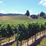 SF: Napa & Sonoma Wine Tour & Hop-on Hop-off Tour (Save 15%) - Crossing the Golden Gate: A Must-See Viewpoint