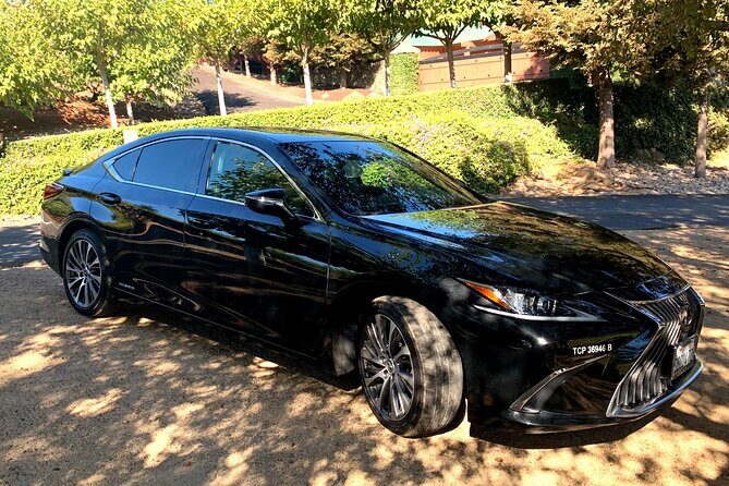 SF to Napa/Sonoma Wine Tour Transportation in Luxury Sedan - Analyzing the Cost and Overall Value