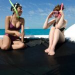 Shallow Water Snorkeling and Dolphin Watching in Key West - Authentic Experiences and Guest Perspectives