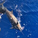 Shared Deep Sea Full-Day Fishing Charter in Hawaiian Waters - What the Reviews Say