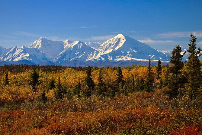 Shared Fairbanks to Denali National Park Entrance Transport - A Practical and Scenic Journey from Fairbanks
