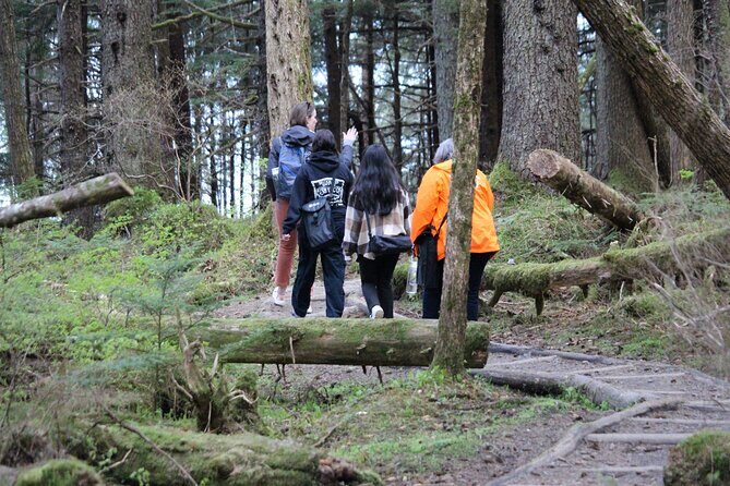 Shared Mindfulness in Wilderness Tour From Alaska - The Real Value of the Tour