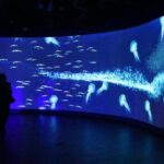 Shared Tour in Miami with Transfer - Practical Details and What They Mean for You