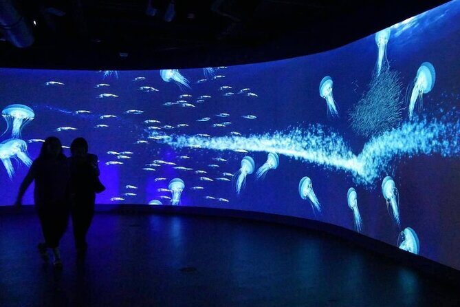 Shared Tour in Miami with Transfer - Practical Details and What They Mean for You