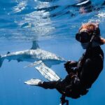 Shark Diving and Snorkeling in Oahu Hawaii - Safety and Comfort
