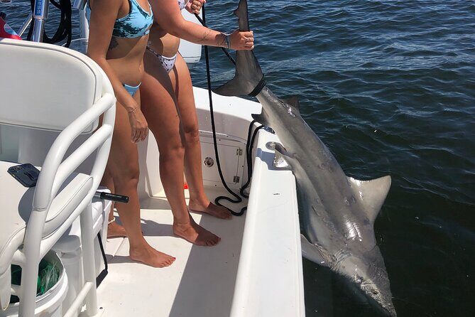 Shark Fishing Tampa Bay - Why Choose Shark Fishing Tampa Bay?