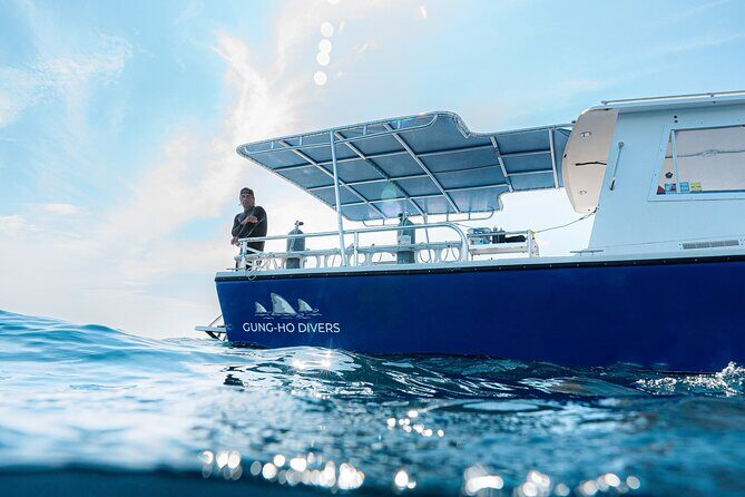 Shark Snorkeling Experience in South Florida - Authentic Encounters and the Real Value