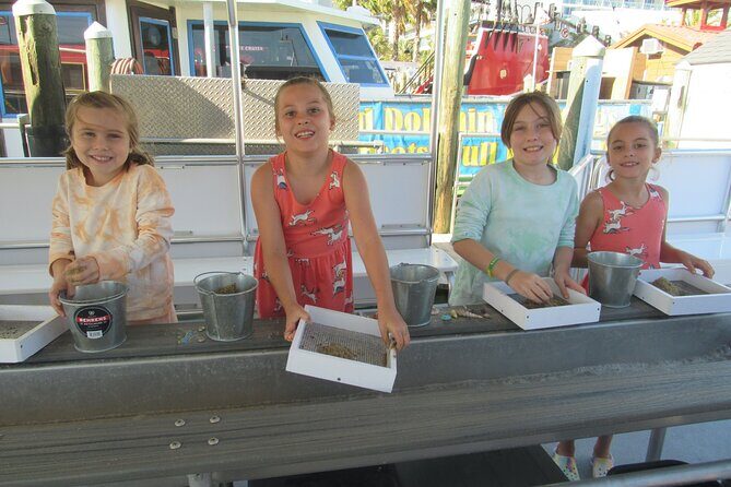 Shark Teeth and Shells, Dolphin and Shelling Tour Boat Clearwater Beach - Who Should Consider This Tour?