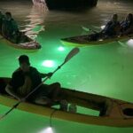 Sharkey's Glass Bottom Fish Feeding LED Night Tour in Clearwater - The Sum Up: Is Sharkey’s LED Night Tour Worth It?