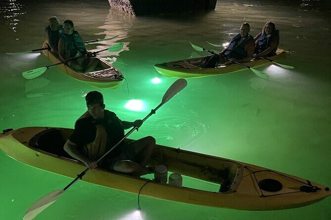 Sharkey's Glass Bottom Fish Feeding LED Night Tour in Clearwater - The Sum Up: Is Sharkey’s LED Night Tour Worth It?