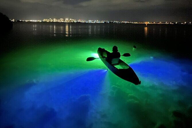 Sharkey's Glass Bottom Fish Feeding LED Night Tour in Sarasota - What to Expect on the Tour