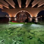 Sharkeys Glass Bottom Fish Feeding LED Night Tour St. Pete Beach - The Sum Up