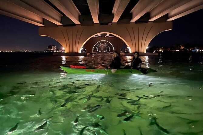 Sharkeys Glass Bottom Fish Feeding LED Night Tour St. Pete Beach - The Sum Up