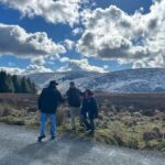 Sheepdogs in the countryside, authentic Dubliners city tour combo - Dublin’s Main Highlights: Parks, Pubs, and Historic Sites