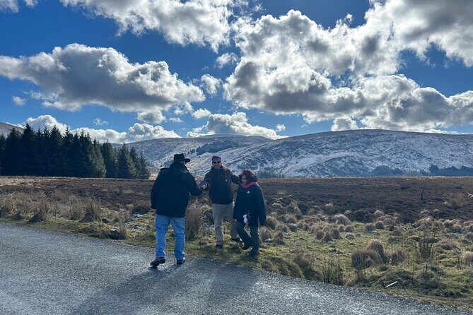Sheepdogs in the countryside, authentic Dubliners city tour combo - Dublin’s Main Highlights: Parks, Pubs, and Historic Sites